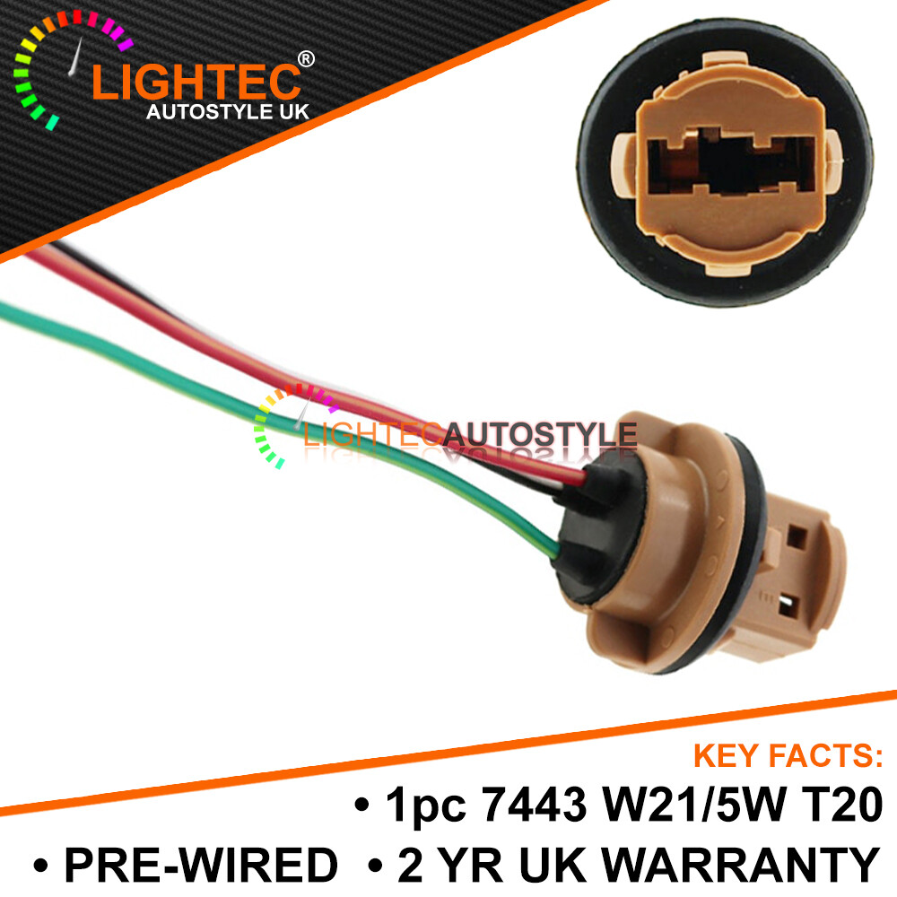 Socket Polarity Of Light