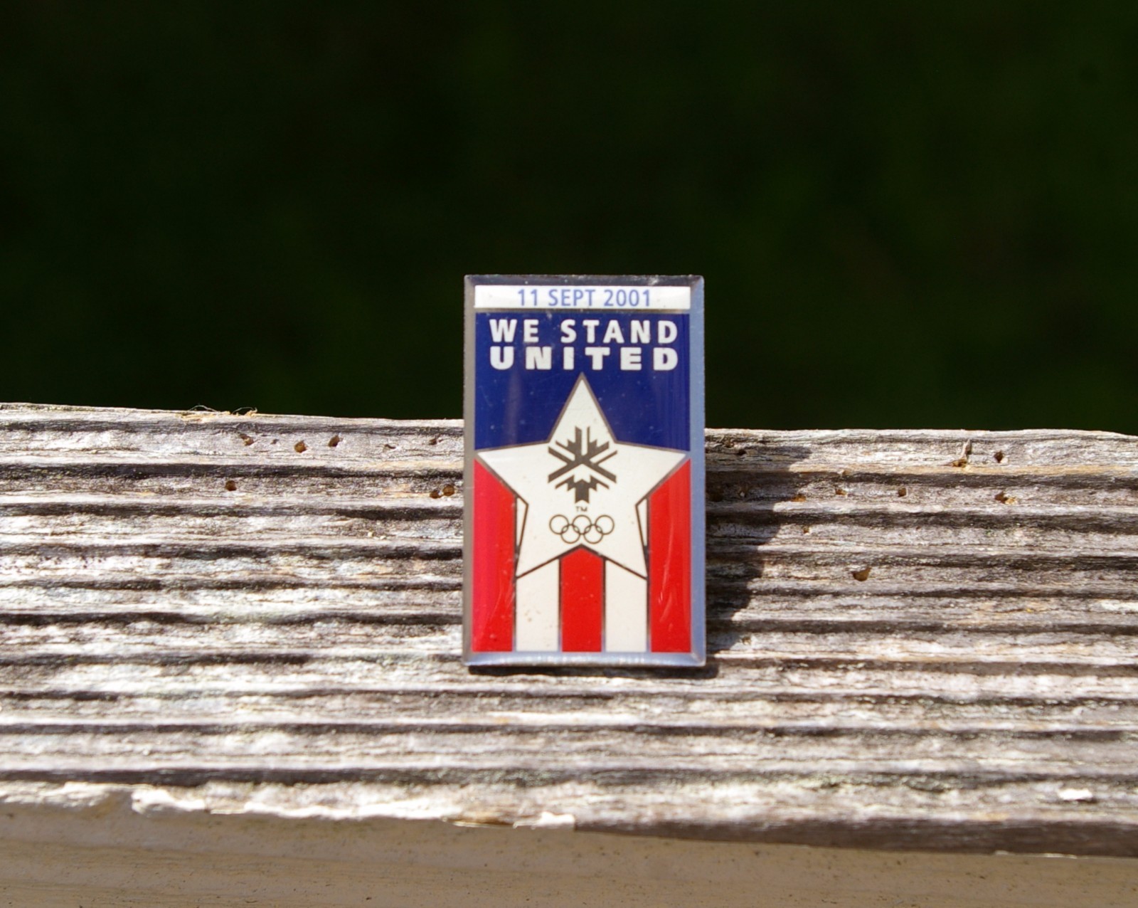 Winter Olympics American Flag We Stand United Sept 11 Metal Enamel Pin ...