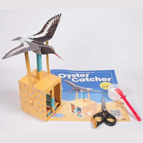 NA - Oyster Catcher -Rob Ives Paper Animation Kit - New Toy - Y245z | eBay