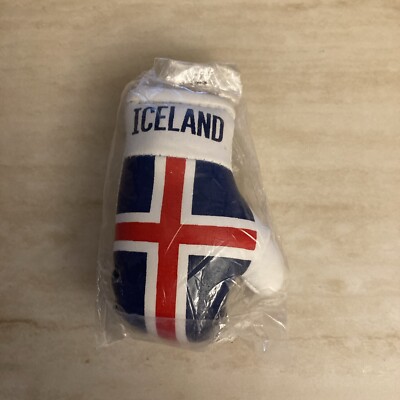 Iceland Country Flag Boxing Glove Mini Key Chain | eBay