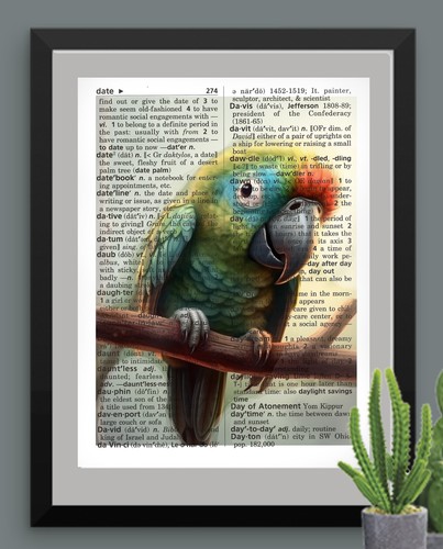 Pretty Parrot Printed on Vintage Dictionary Page Art Print Bird Lovers ...
