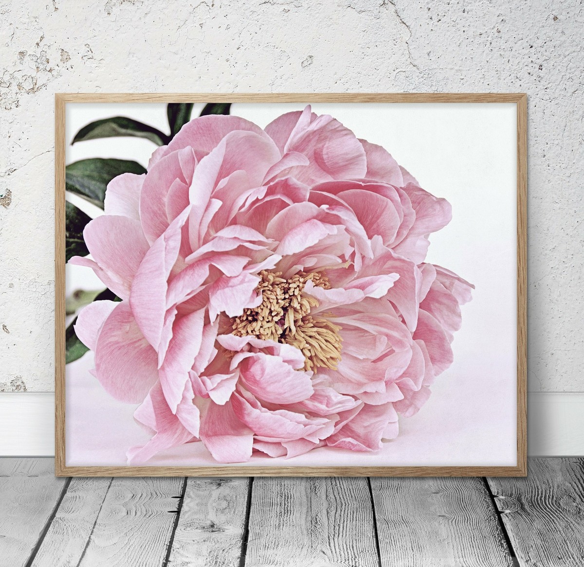 Peony Art
