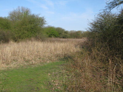 Photo 6x4 View of Stonelees nature reserve Richborough Port Part of the ...