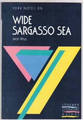 The Wild Sargasso Sea by Jean Rhys (York Notes) - Paperback - GOOD | eBay