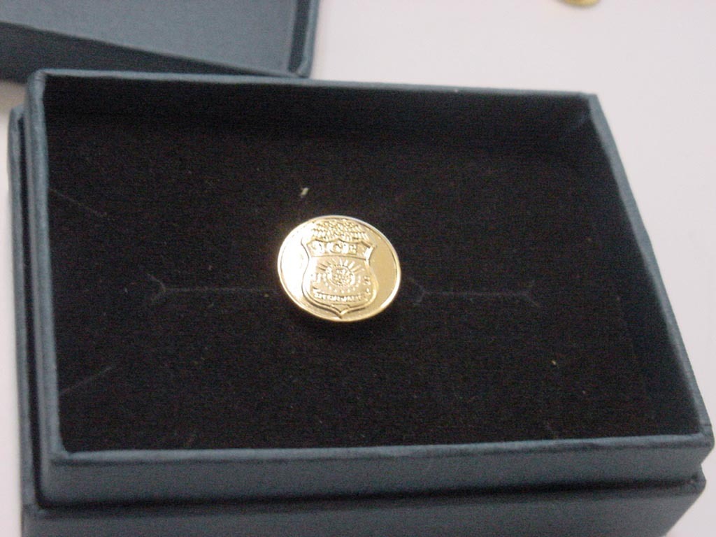US Immigration & Customs Enforcement ICE lapel pin | eBay