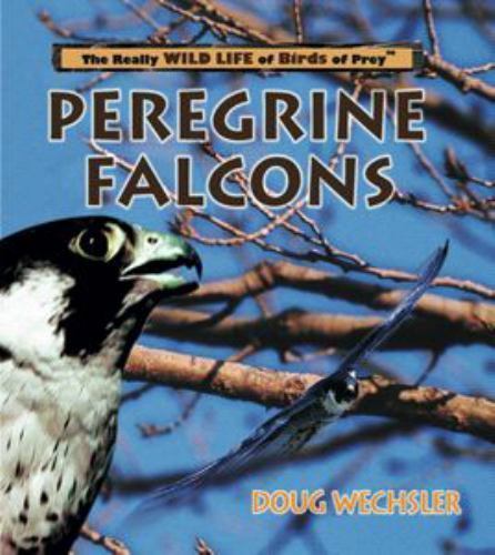 Peregrine Falcons (Really Wild Life of Birds of Prey) by Doug Wechsler ...