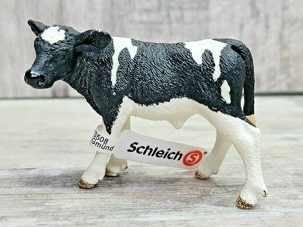 Holstein Cows With Calf