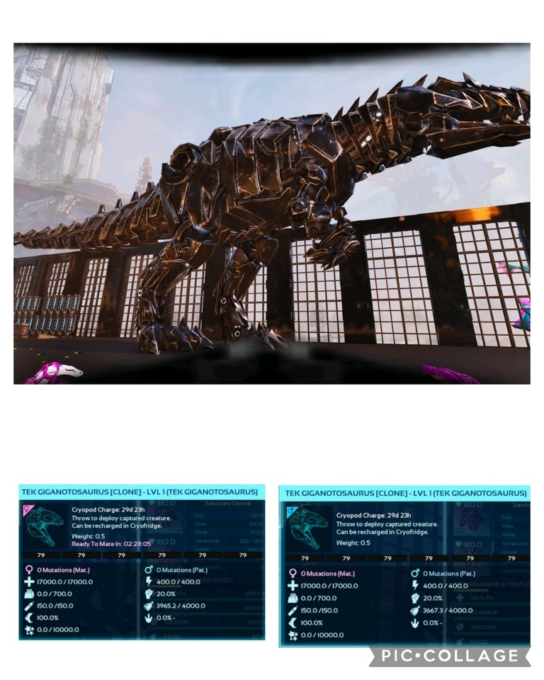 ark survival ascended pve SOLID ID79 LEVEL 1 TEK GIGA BREEDING PAIR | eBay
