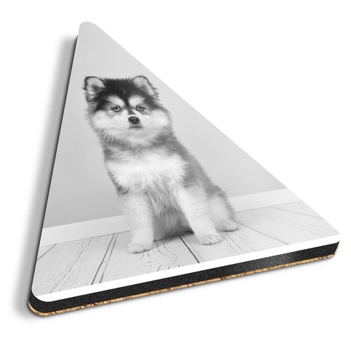 1x Triangle Coaster - BW - Pink Pomsky Pomeranian Husky Puppy #36871 | eBay