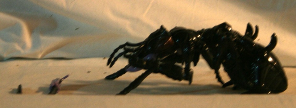 transformers botcon beast wars antagony 1998 | eBay