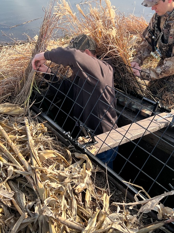 Duck Hunting - Blind Cover Drop Down - Show Me Ducks® | eBay