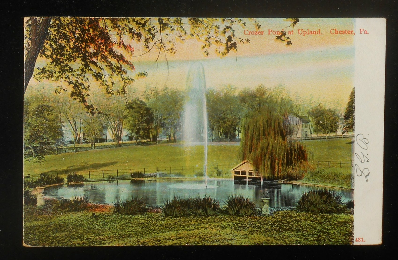 1907 Crozer Pond at Upland Duck House? Chester PA Delaware Co Postcard ...