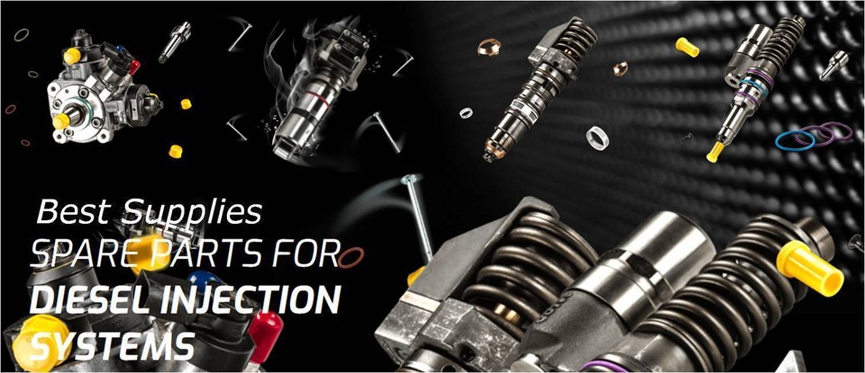 Roosa Master / Stanadyne Diesel Injection Pump seal kit 33814 DB2 ...