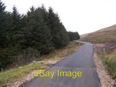 Photo 6x4 Old Largs Road Garvock Hill/NS2569 Passing the trees at ...