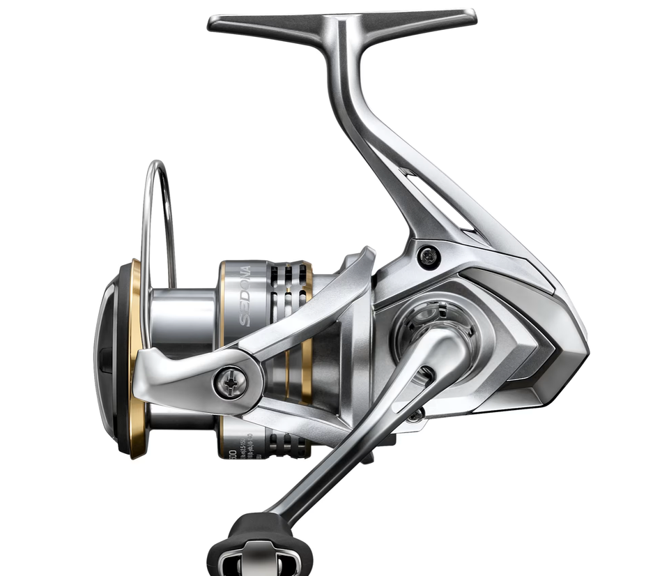 Shimano Sedona 1000 FJ Spinning Reel SilentDrive (SE1000FJC) | eBay