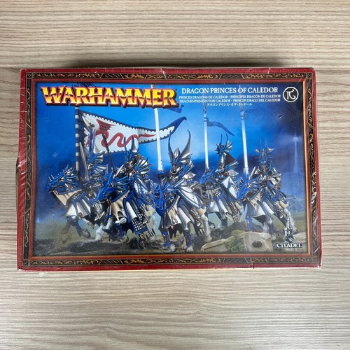 HIGH ELF DRAGON PRINCES OF CALEDOR REGIMENT CAVALRY WARHAMMER FANTASY ...