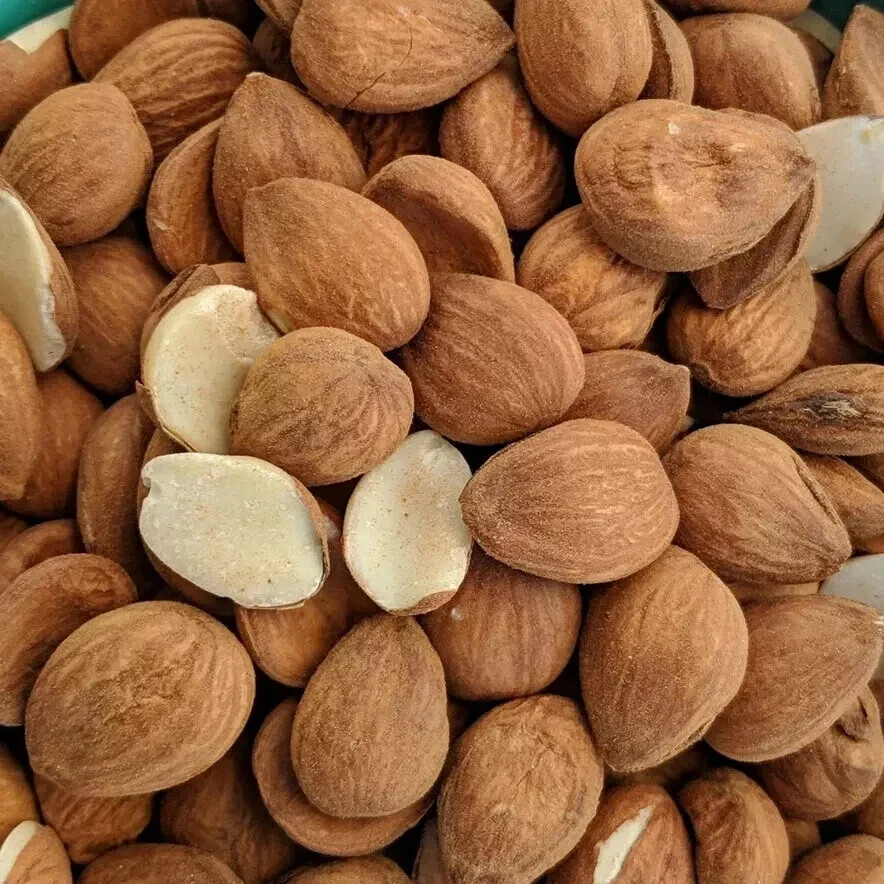 Premium Bitter Apricot Kernels /raw/organic/sun dried/ apricot seeds | eBay