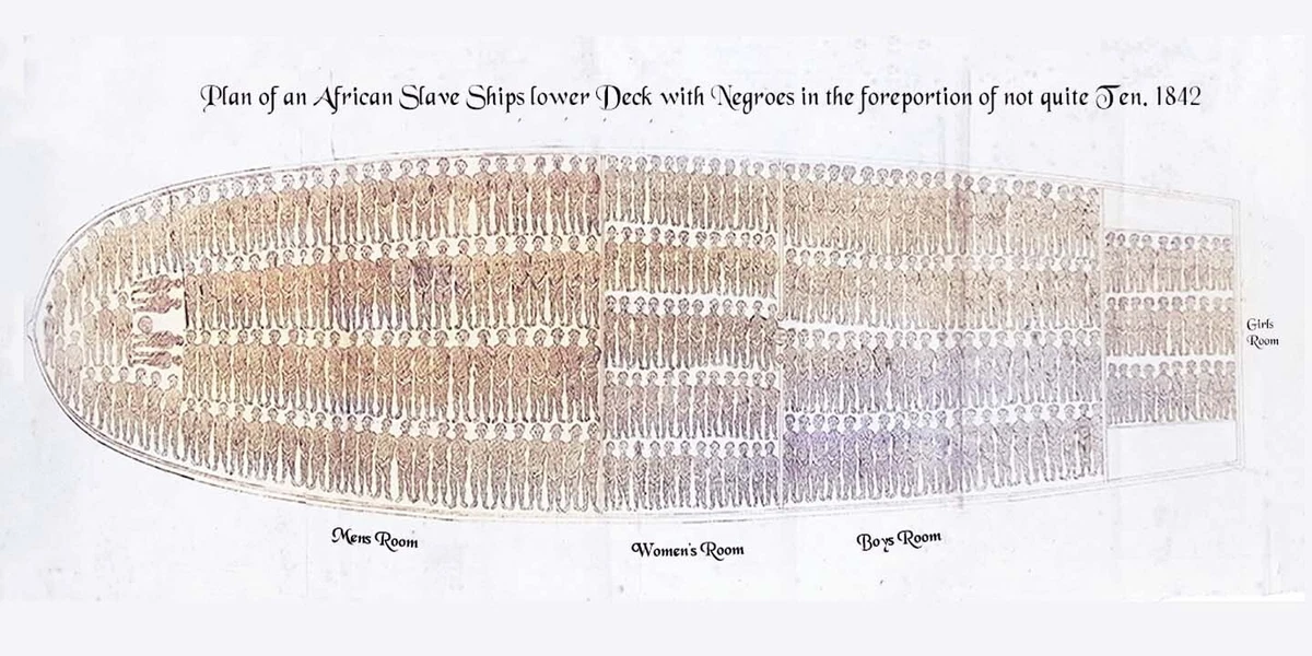 Slave Ship Diagram