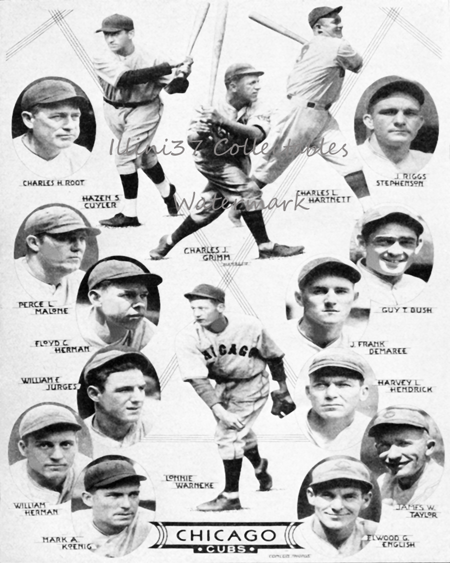 1933 CHICAGO CUBS GABBY HARTNETT KIKI CUYLER GUY BUSH 8X10 TEAM PHOTO ...