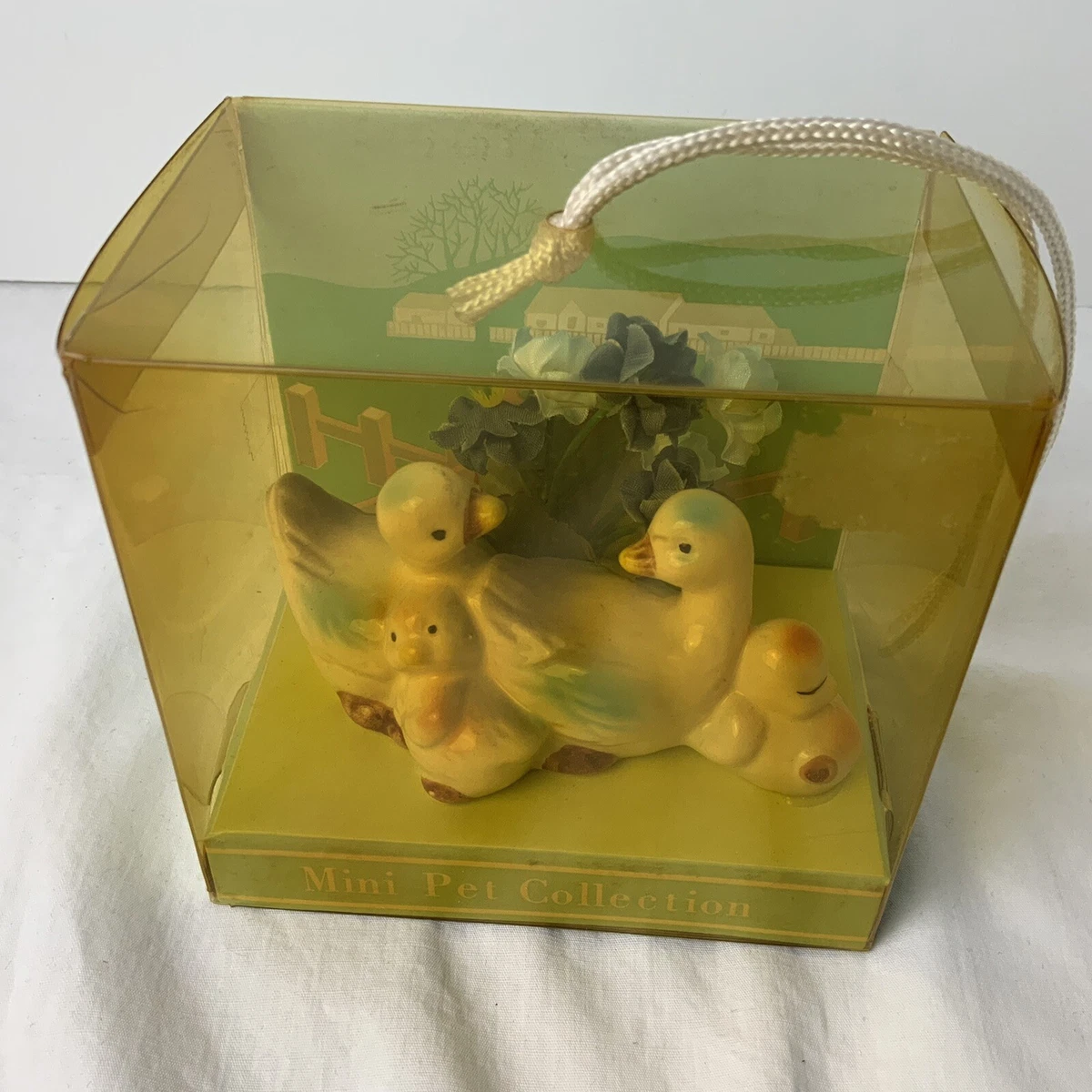 Miniature Pet Ducks