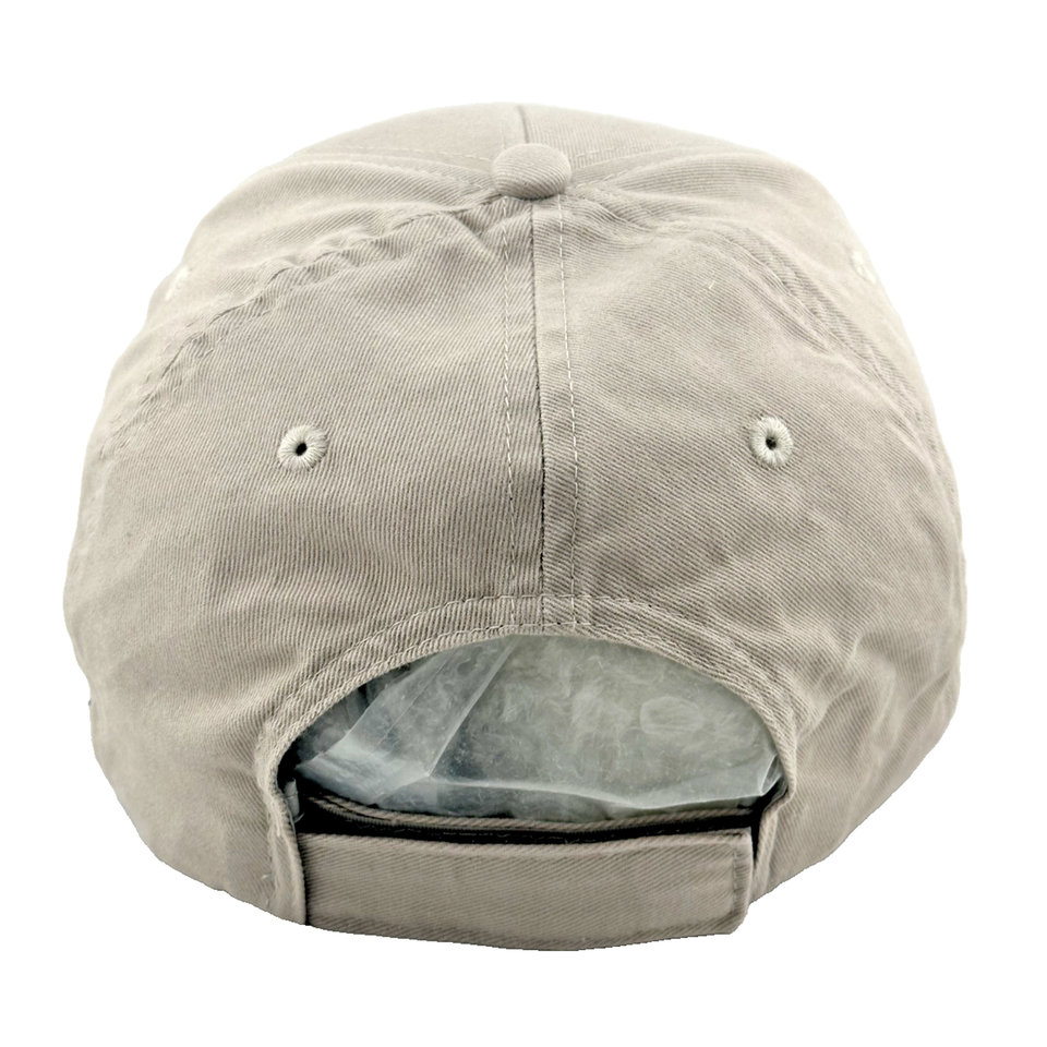 Adult AWS (Amazon Web Services) CAP Beige - OSFM - Adjustable | eBay