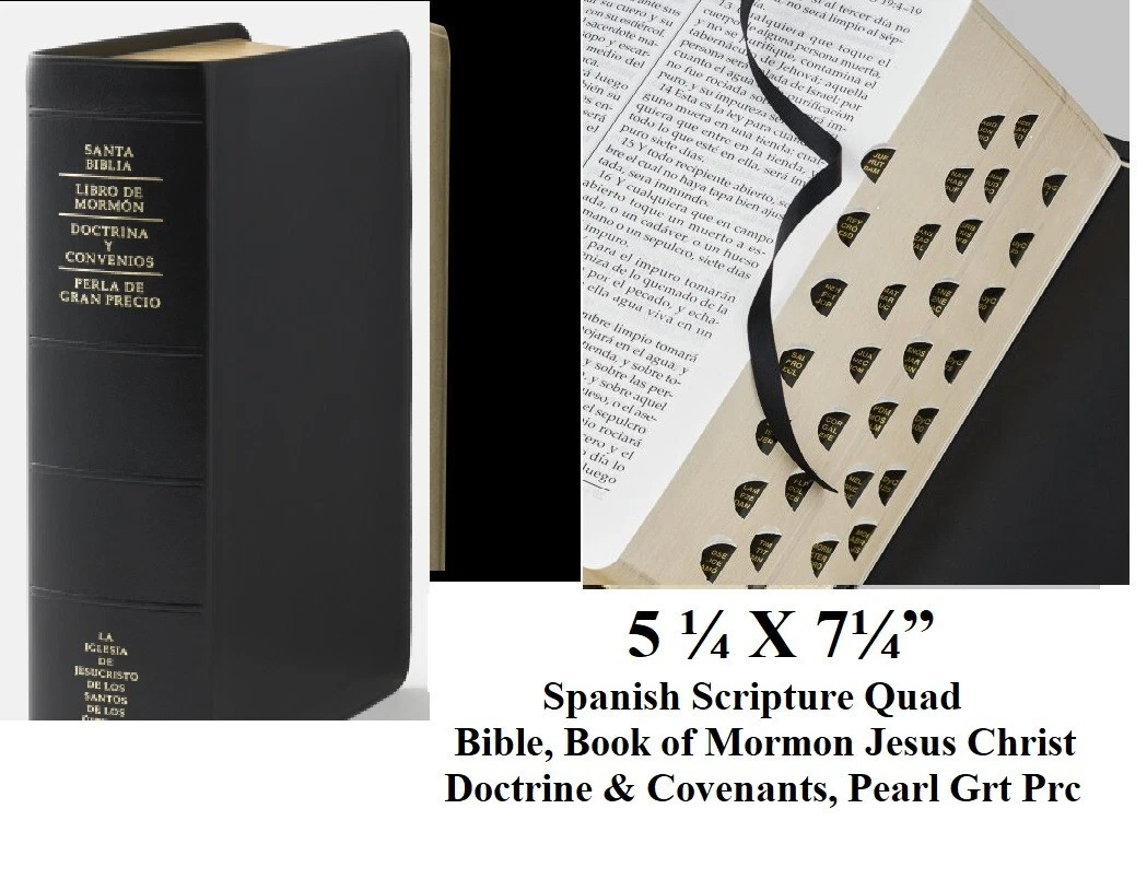 Book Of Mormon Lds Scriptures