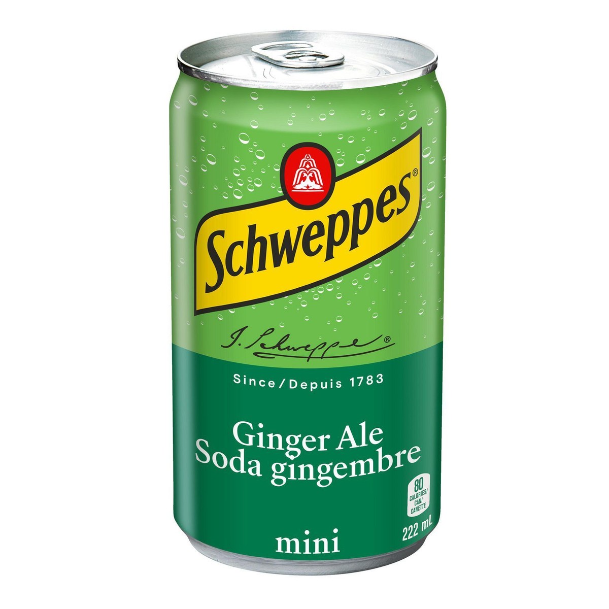 Schweppes Ginger Ale Can