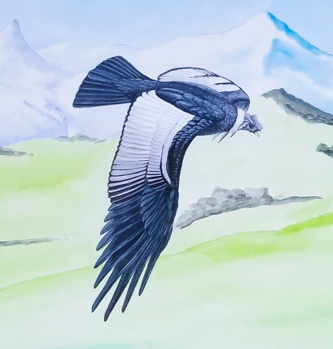 Condor Painting