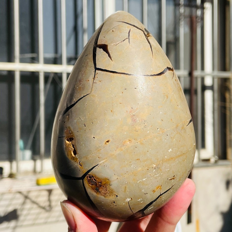 1174g Large Natural Dragon Septarian Septarium Crystal Egg Geodes ...