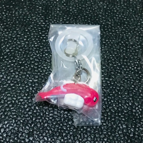 Pokemon Scarlet Violet Charcadet Keychain Figure Japan Exclusive | eBay