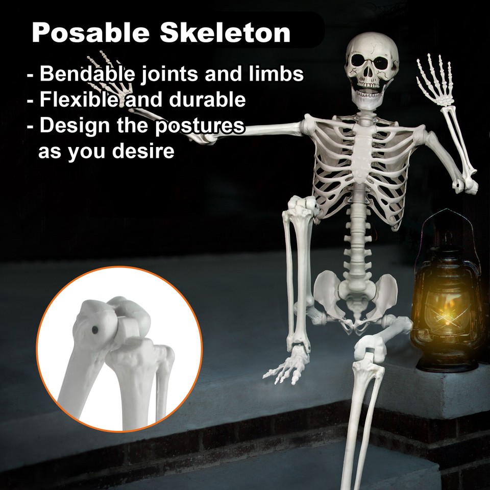 5.5FT Realistic Posable Human Skeleton Life Size Skeleton Hanging ...