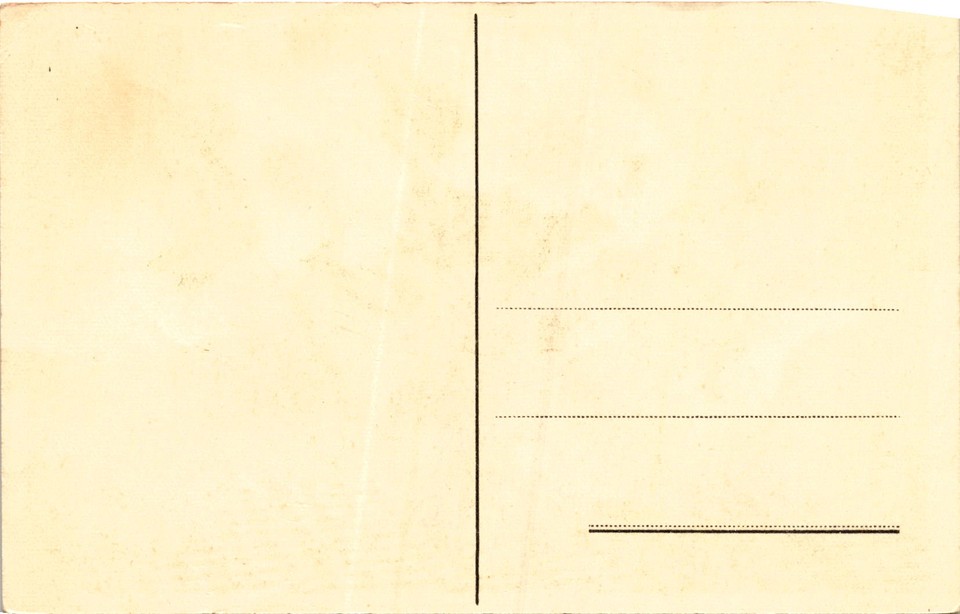 congratulations Dutch Hartelijk Gefeliciteerd cursive font Postcard | eBay