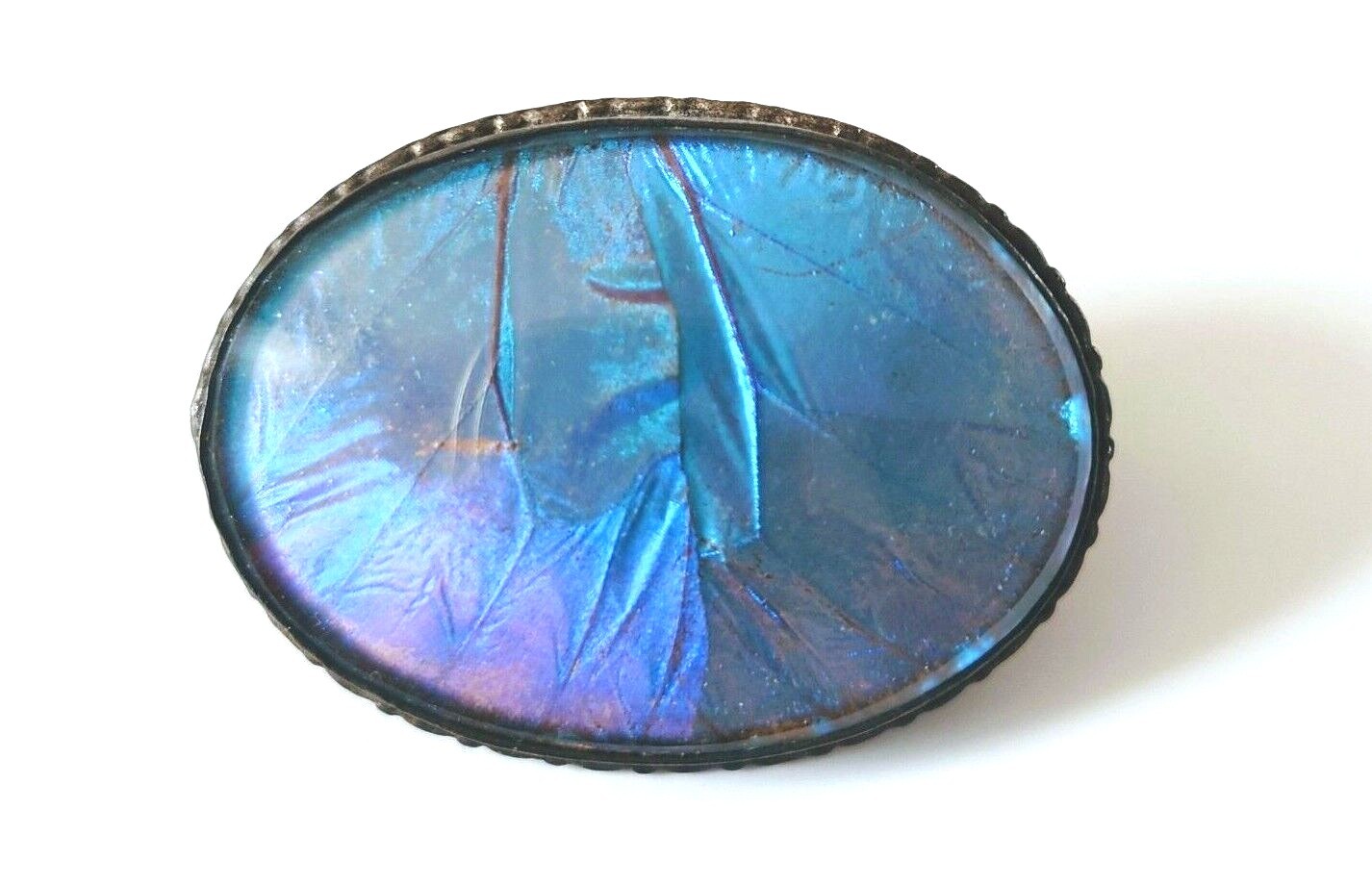 Morpho Butterfly Wing Brooch Vintage Silver Brazil AL… - Gem