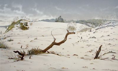 Keith Rasmussen "Cumberland Beach Serpent" Signed Fine Art Lithograph ...