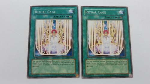 2x ( 1x 1st / 1x UNL ) RITUAL CAGE SPELL CARD ABPF-EN060 RARE YUGIOH NM ...