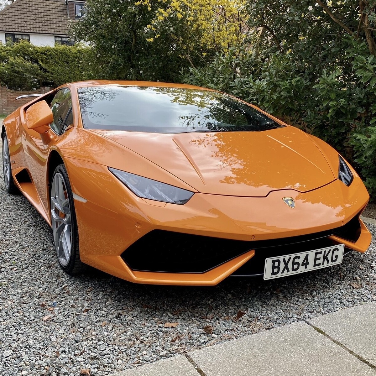 Lamborghini Plates