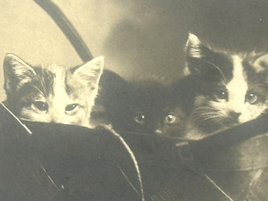 ConniesCozyCloset | eBay Stores