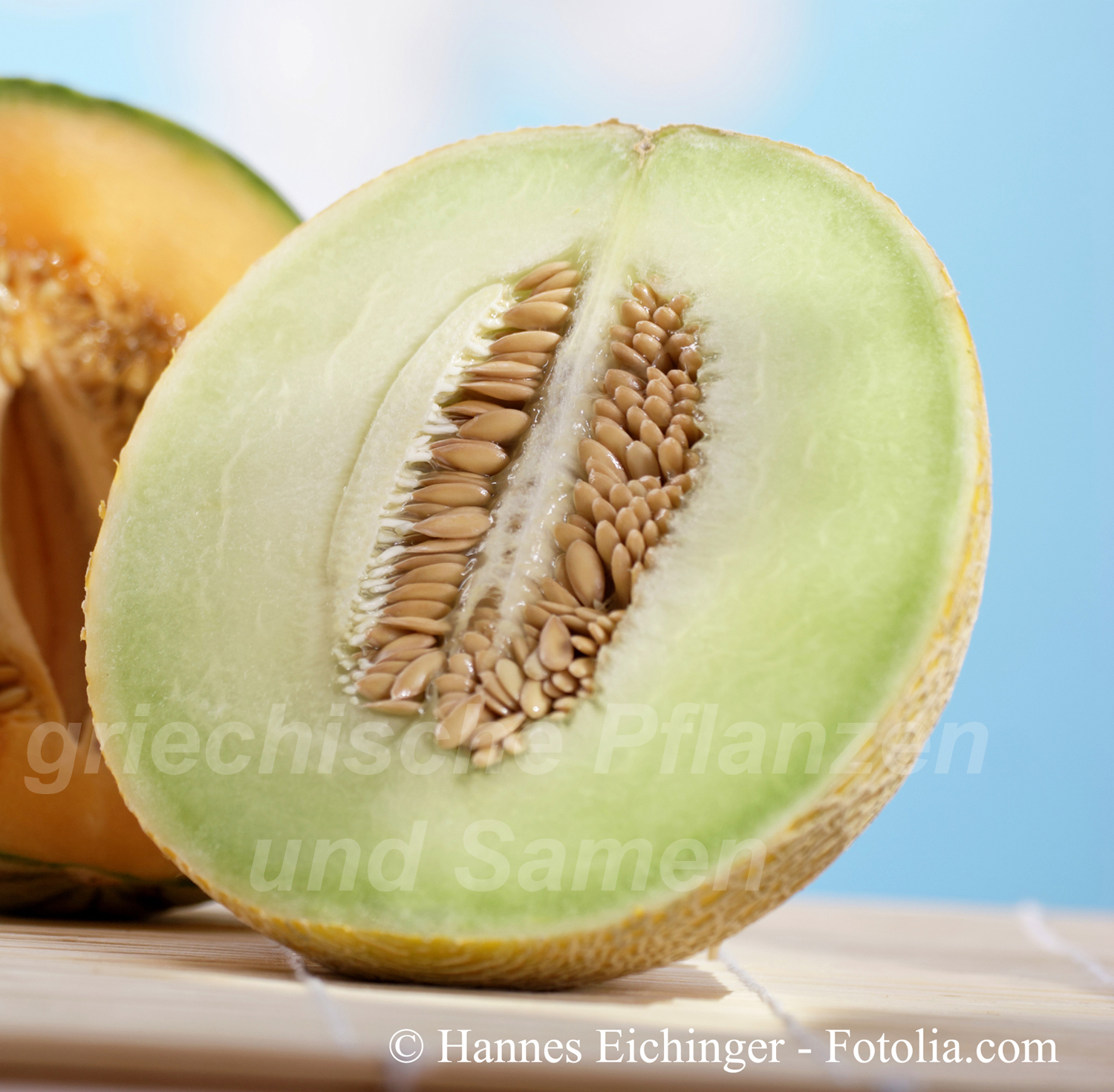 🔥 Melone Melonen historische Sorten für kurze Sommer SEHR SELTEN alte ...