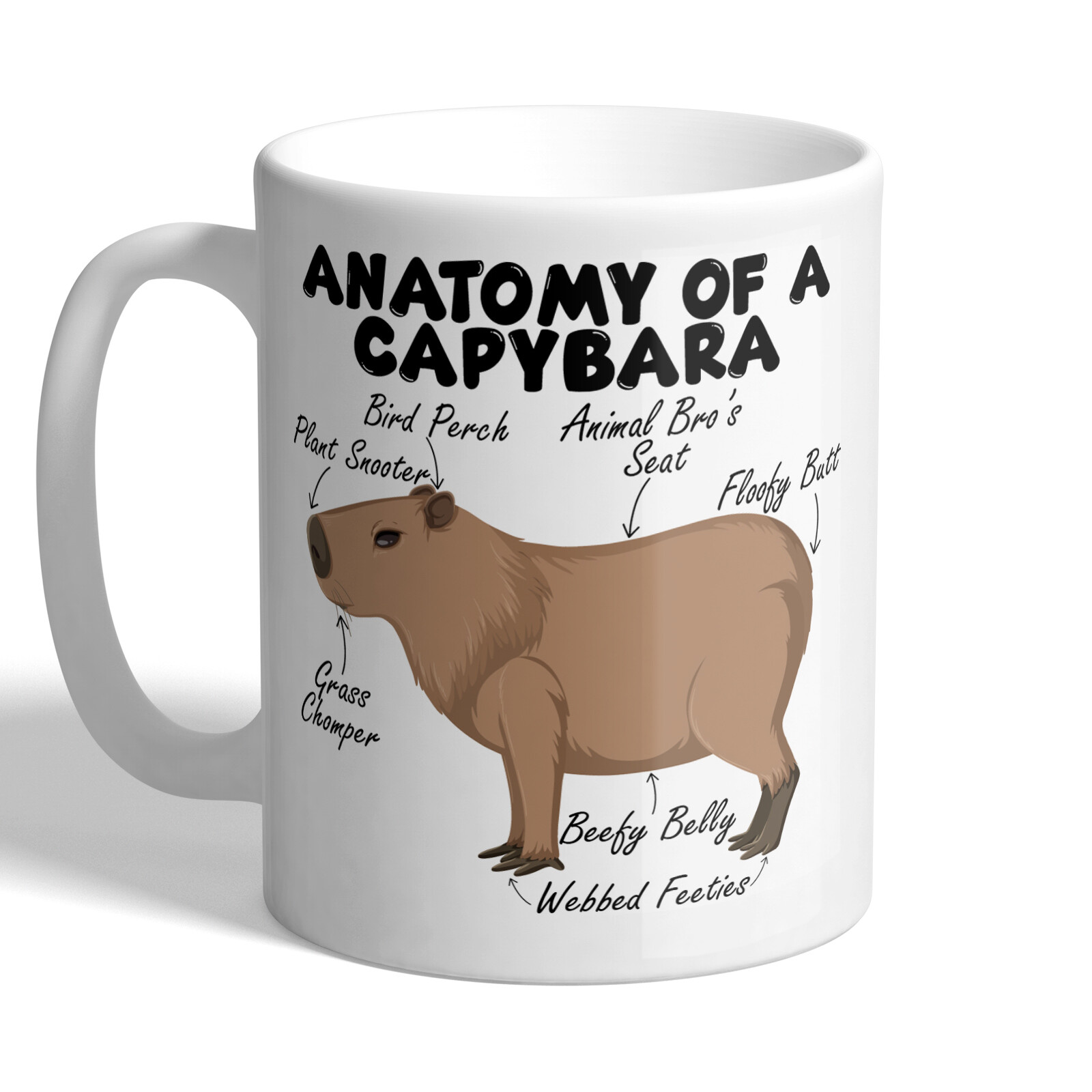 Anatomy Of A Capybara - Animal Lover Mug | eBay