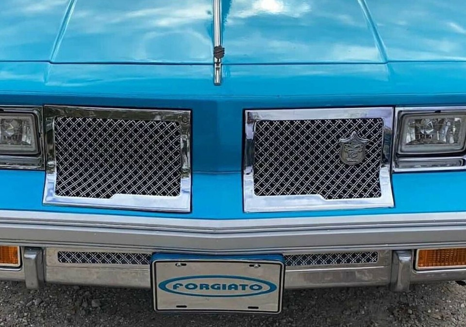 1981-1987 Olds Cutlass Supreme Chrome Grill Dual Weave Mesh Grille ...