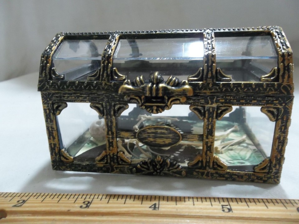 Dead Fairy Forensic Bones Fancy Display Box Sideshow Gaff Oddities ...