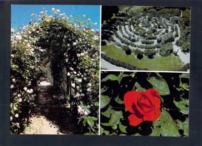 E4755 Australia V Shoreham Ashcombe Maze PU postcard | eBay