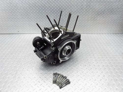2001 00-01 Harley Davidson Softail Deuce FXSTDI Crankcase Crank Case ...