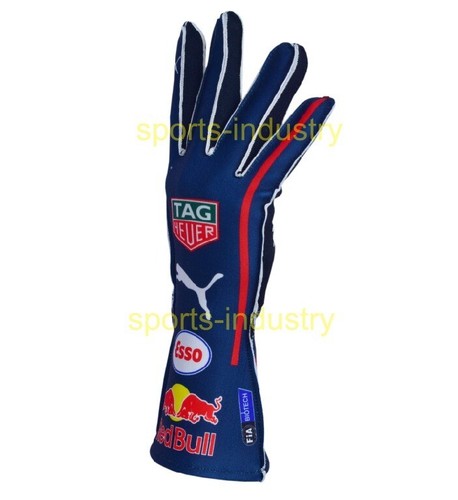 VERSTAPPEN F1 KARTING GLOVES 2019 Sim racing Gloves Formula 1 Gloves | eBay