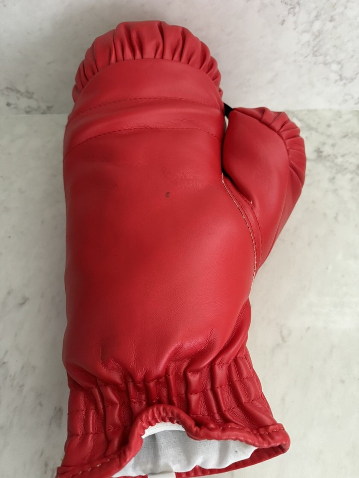 Ryan Garcia KingRy “The Flash” Signed Red Everlast Boxing Glove | eBay