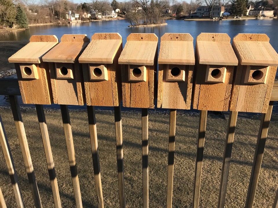 Cedar Bluebird Bird House 3/4" THICK Cedar Birdhouse! Predator Guard ...
