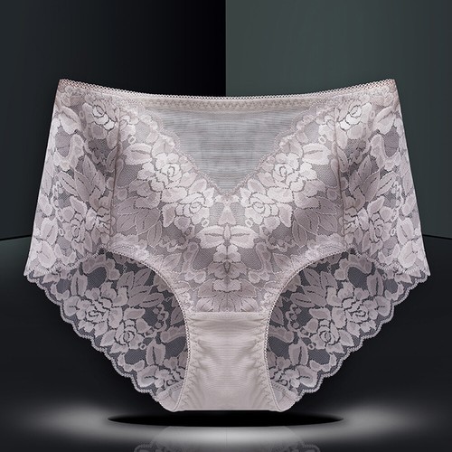 Women's Transparent Knickers Sexy Briefs Underwear French Lace Seamless ...