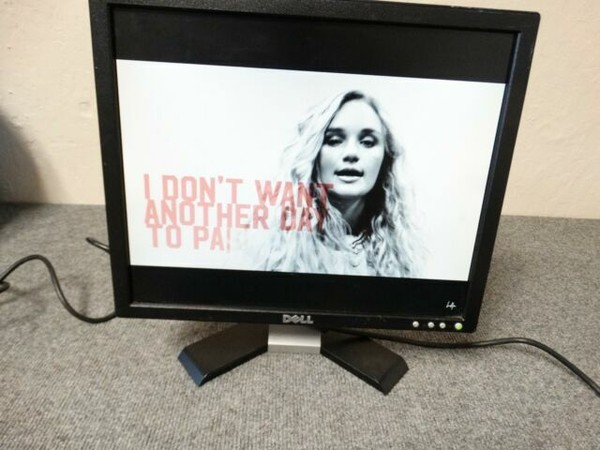 Dell E177FPF LCD Monitor for sale online | eBay