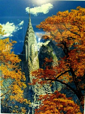 DOUG WEBB RECONSTRUCTION SERIGRAPH PRINT AP 56/75 35"x26" COA CHRYSLER ...