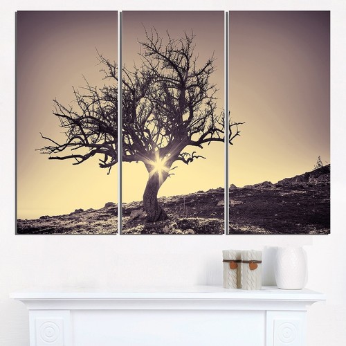 Lonely Grey Tree in Mountain - Extra Large Wall Art Blue 36 in. wide x ...
